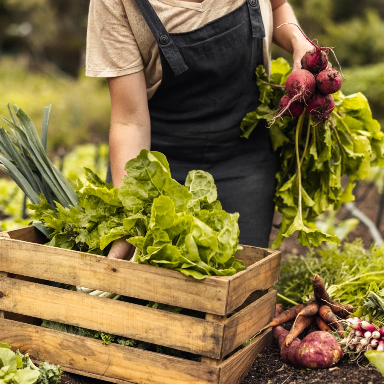 Your Preferred Food Service Partner | Dana Hospitality